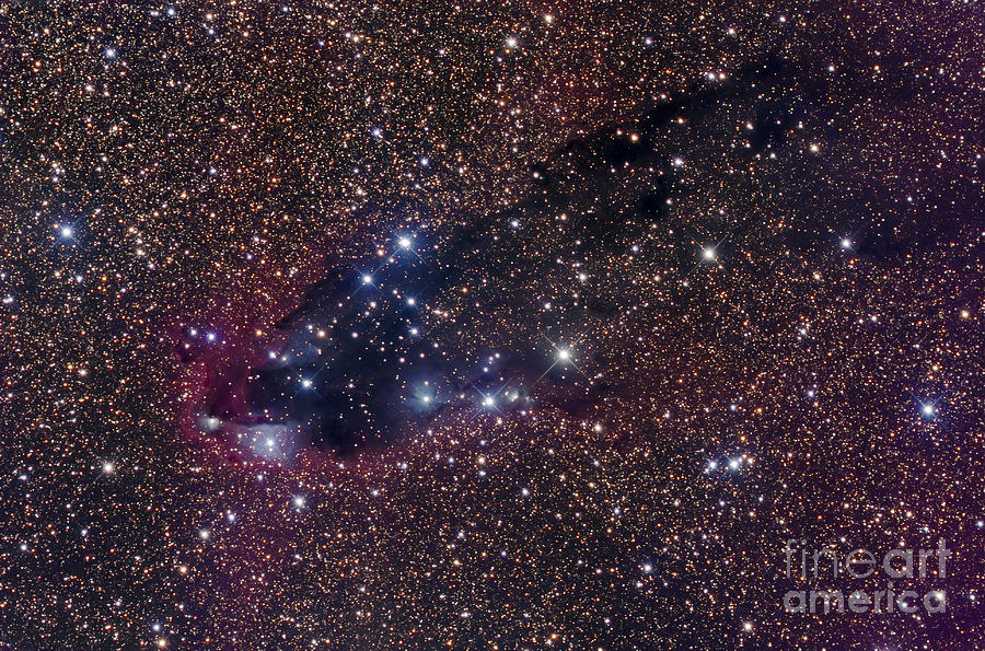 The Dark Tower, Cometary Globule Photograph by Robert Gendler - Pixels