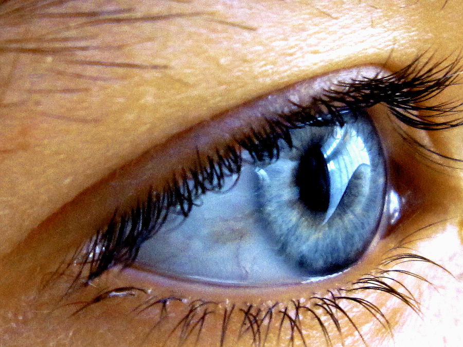 The Eye Photograph by John Siwicki - Pixels