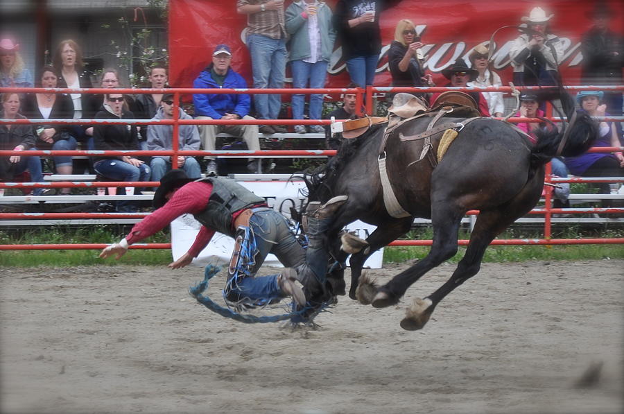 The Fall Photograph by Malcolm Chalmers - Pixels