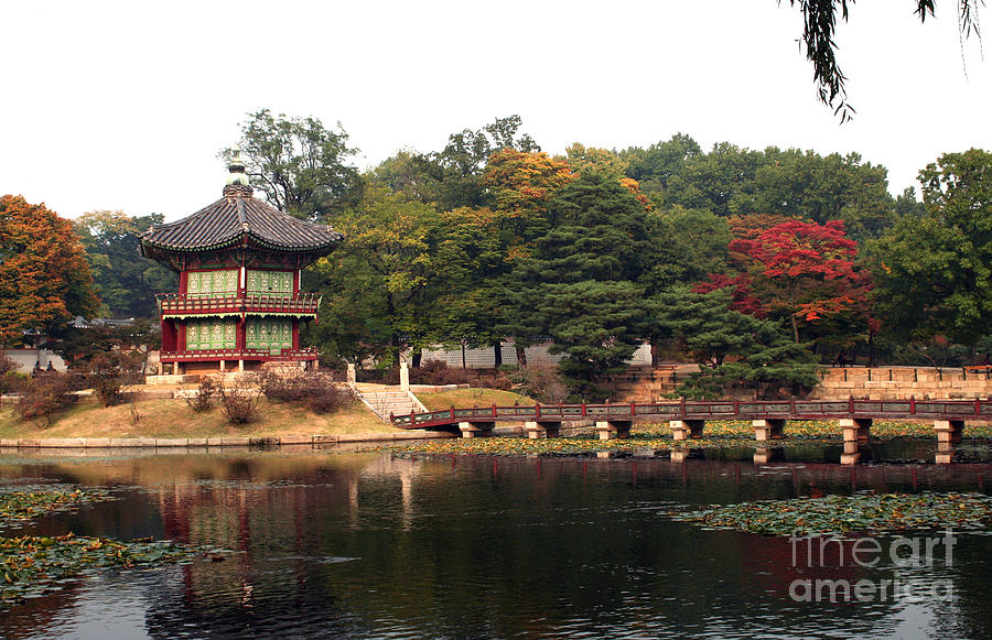 The Floating World Photograph by Thomas Smail - Fine Art America