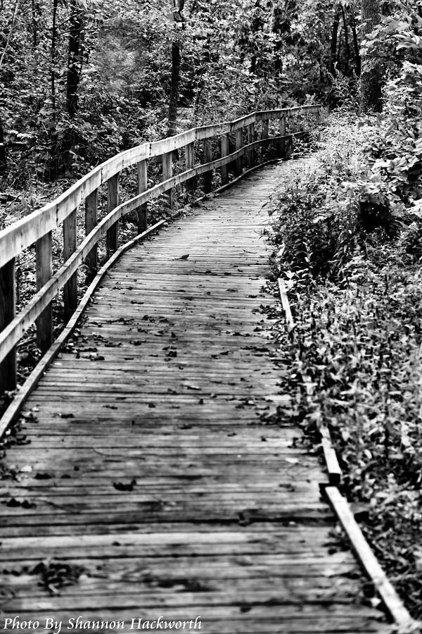 The Ghost Path Photograph by Shannon Hackworth - Fine Art America