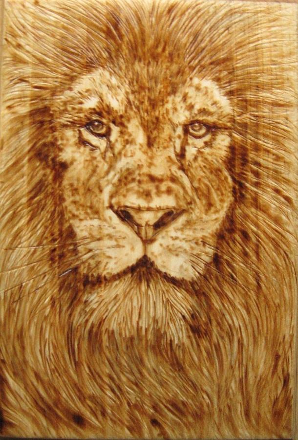 The King of Beasts Pyrography by Bob Renaud - Pixels
