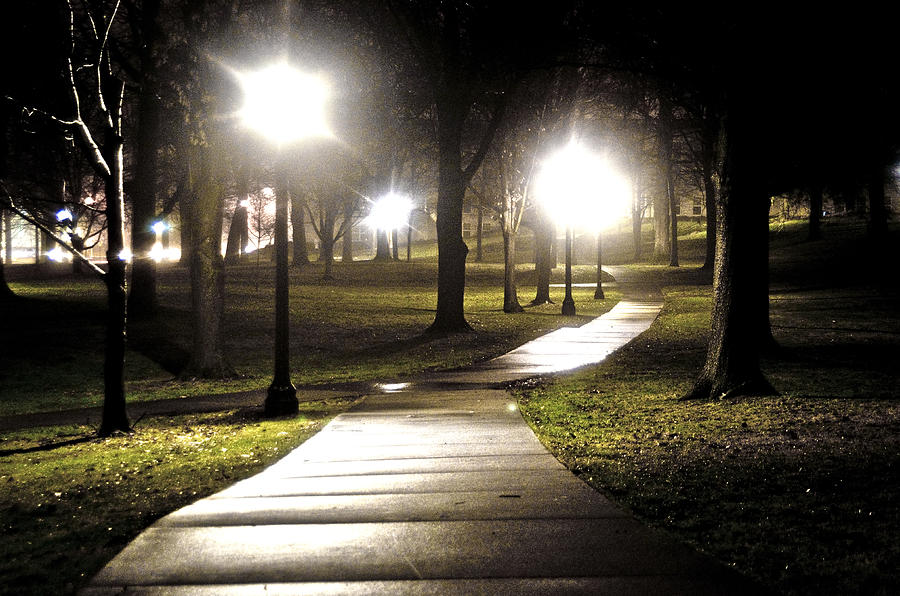 The Path Photograph by Robert Sustersic - Fine Art America
