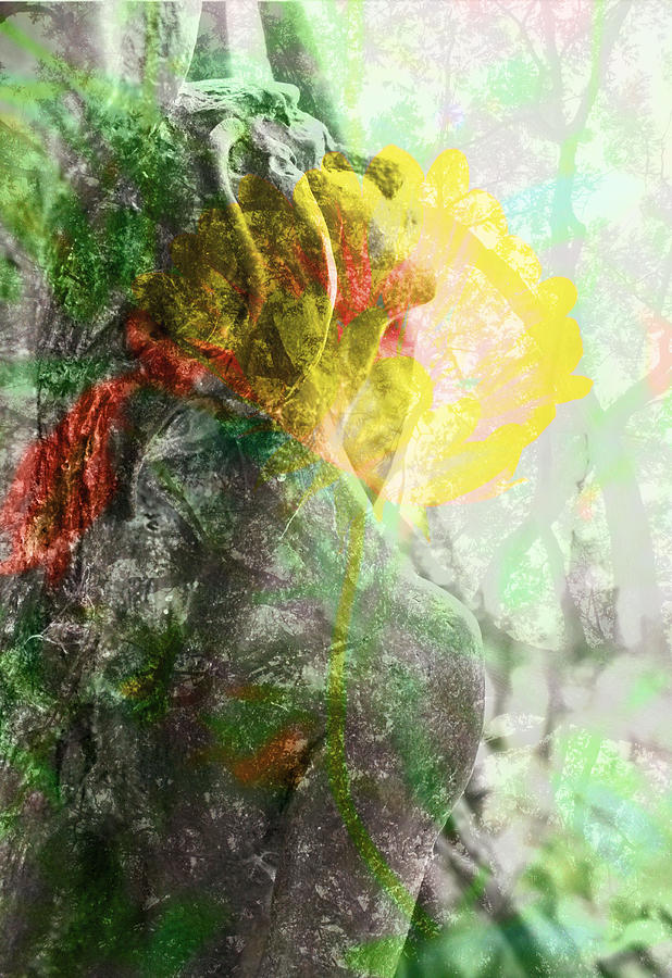 The Pixie Photograph by Jillian Barrile - Pixels