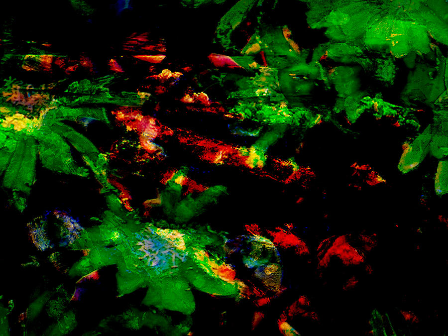 The Red Path Photograph by Lenore Senior - Fine Art America