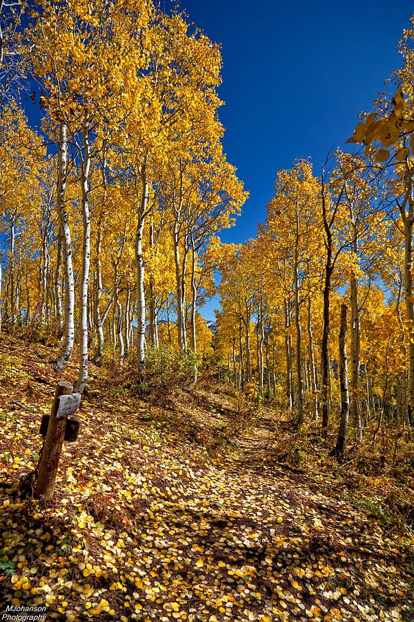 The Split Trail Photograph by Mitch Johanson - Fine Art America