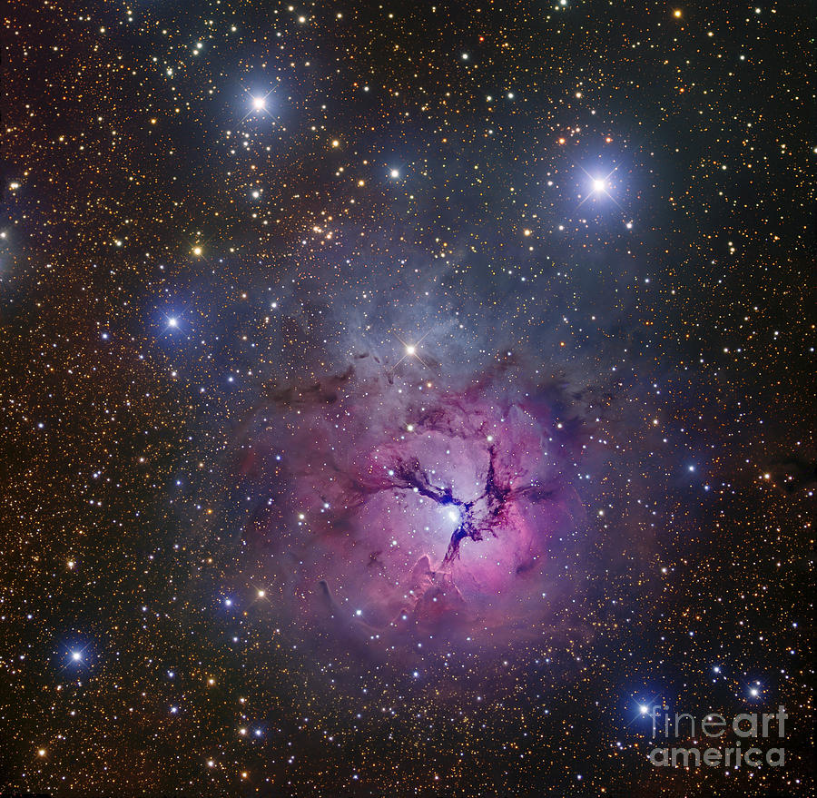 The Trifid Nebula Located Photograph by Robert Gendler - Fine Art America