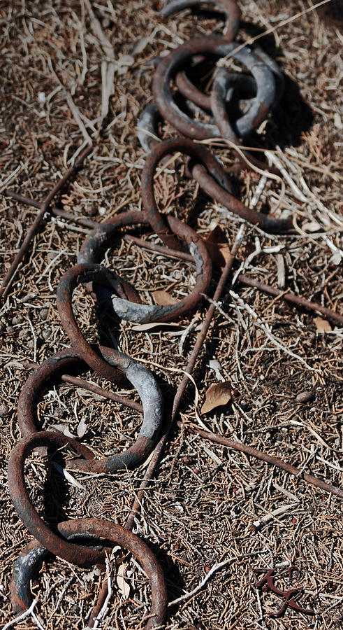 These Rusty Chains Photograph By Devin Rader Fine Art America