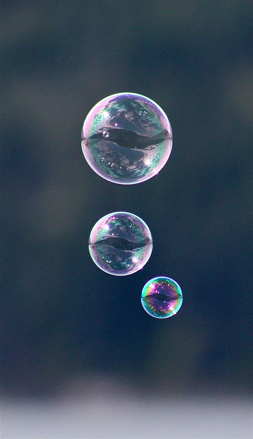 Thought Bubbles Photograph by Cathie Douglas - Fine Art America
