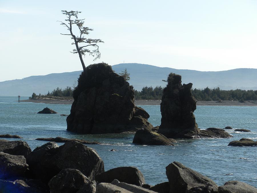 Three Graces Photograph by Nancy Zavada - Fine Art America