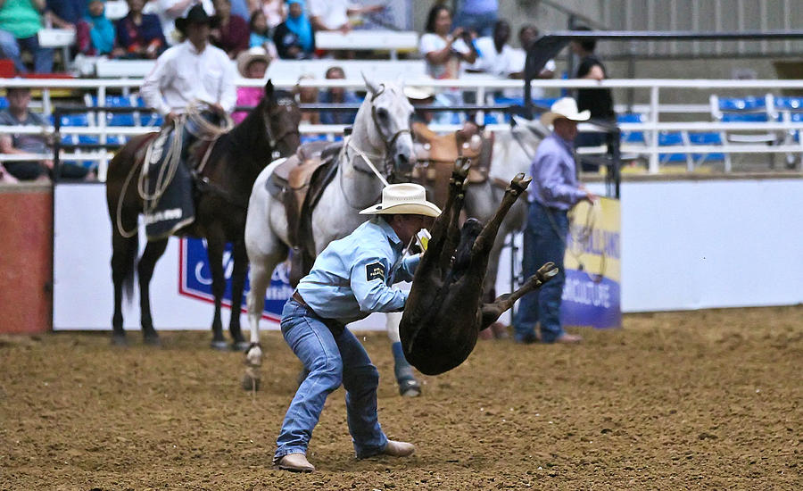 Throw Down Photograph by Elizabeth Hart - Fine Art America