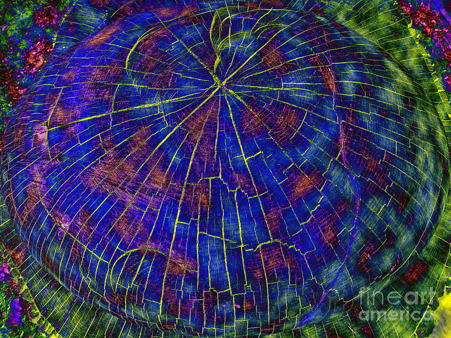 Time Bubble Digital Art by John Gaffen - Fine Art America