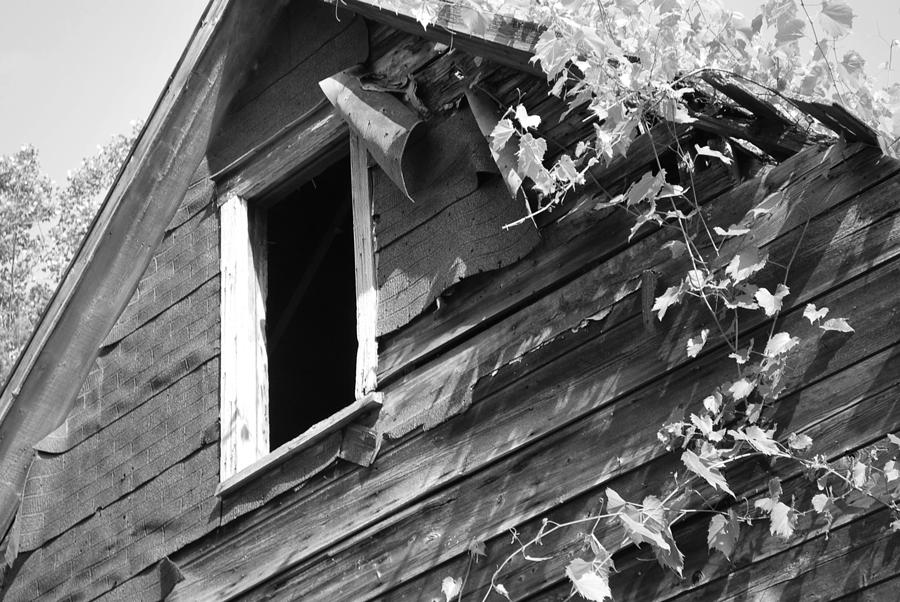 Time changes everything Photograph by Roxanne Nero