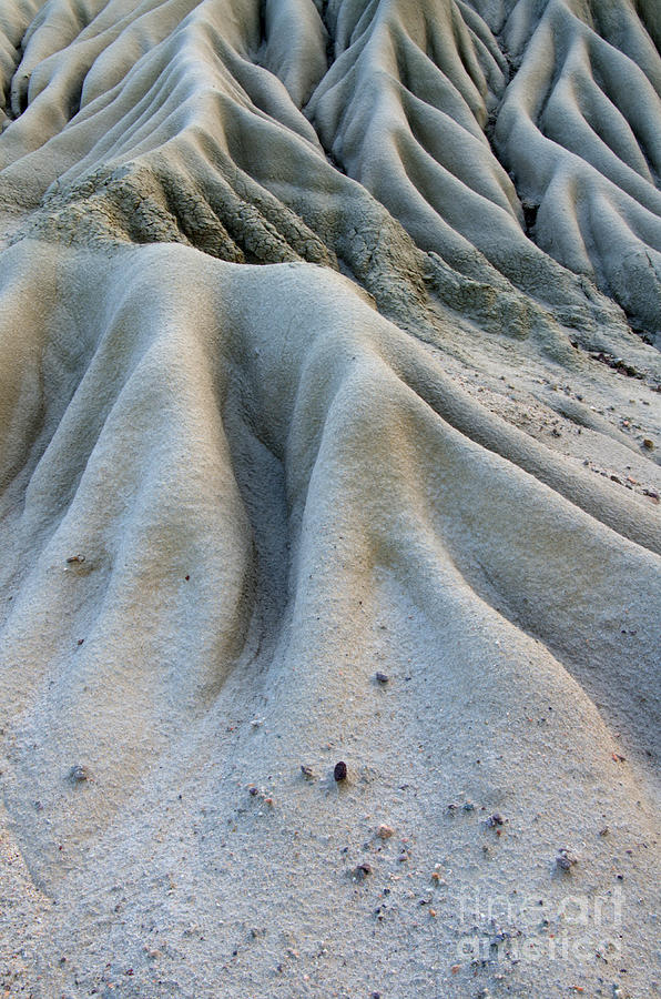 Timelines Photograph by Bob Christopher - Fine Art America
