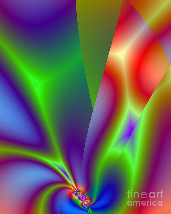 Tortoise Shell Digital Art by Brian Raggatt - Fine Art America