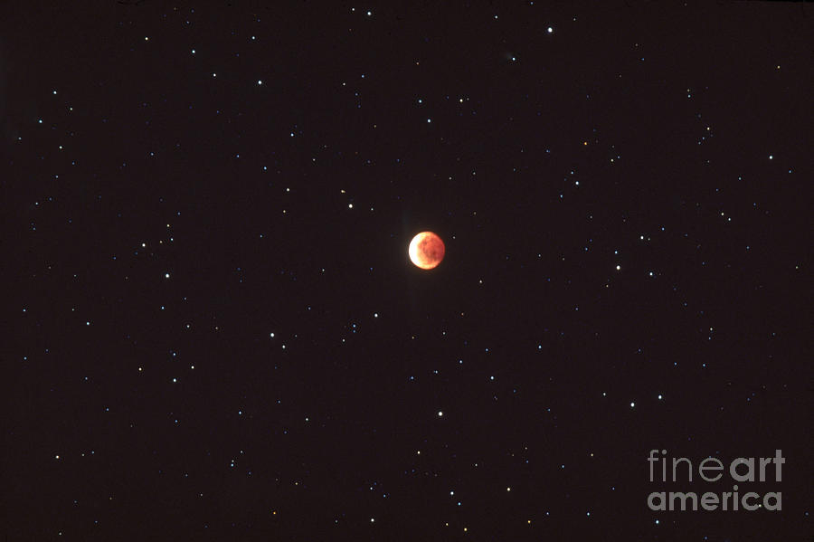 Total Lunar Eclipse Photograph by Science Source - Pixels Merch