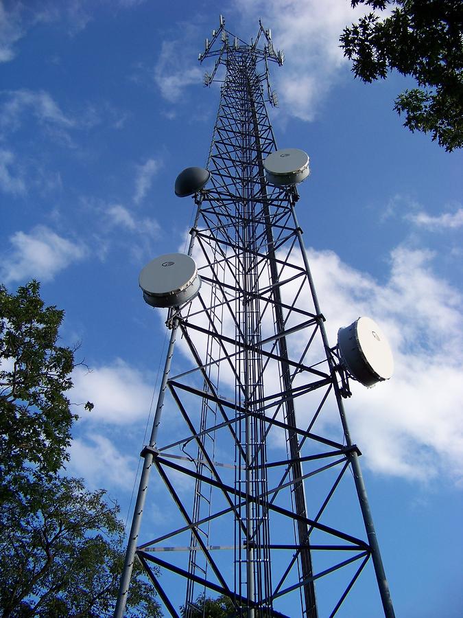 Towering Over Me Photograph by Bobbie Jo Lyons - Pixels Merch