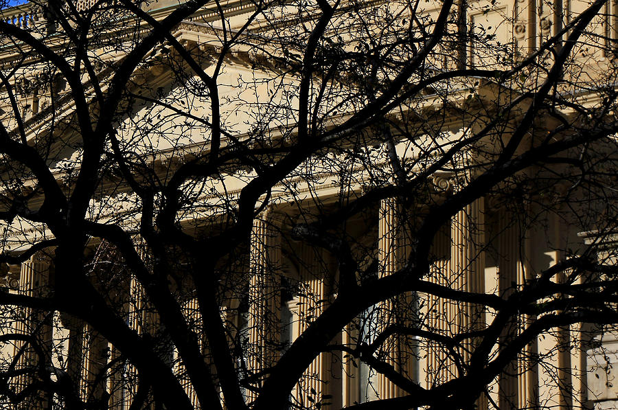 Tree and Columns Photograph by Andrew Fare - Pixels