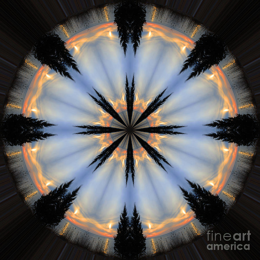 Tree Circle Photograph by Jamie Rabold - Pixels