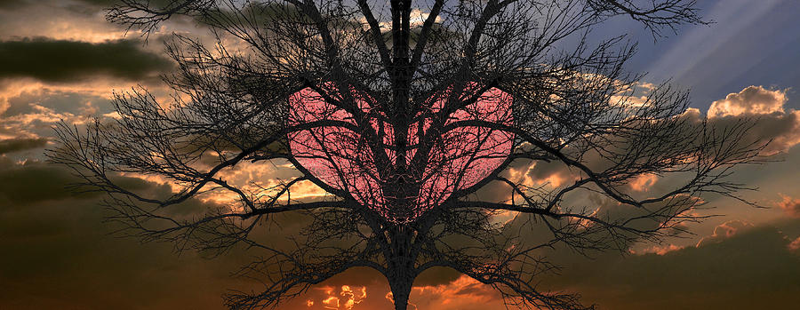 Tree with Heart Sunset Photograph by Russ Lopez | Fine Art America