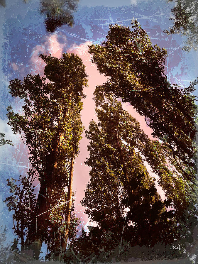 Trees Photograph by Jan Artist | Fine Art America