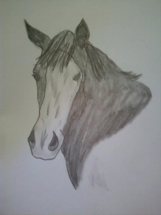 Trezar Drawing by Michelle Kramer - Fine Art America