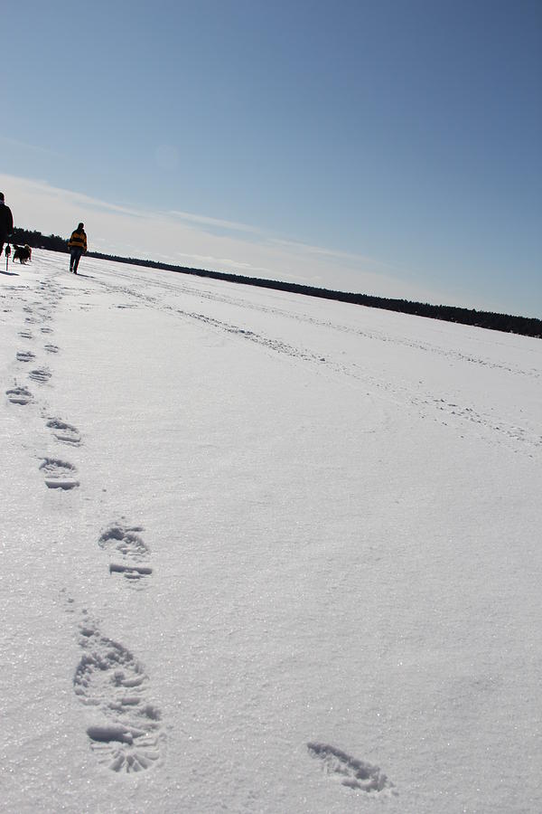 Trudge Photograph by Deirdre Wilkes - Fine Art America