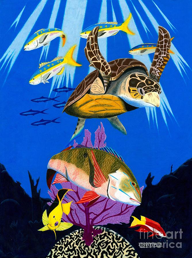 Turtle Reef Drawing by Jonathan Teeter - Pixels