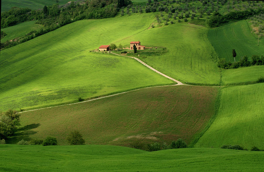 Tuscan Fields Photograph by Michael Mischley - Fine Art America