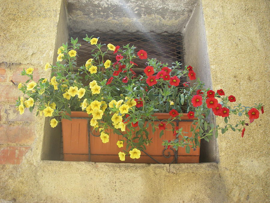 Tuscan Windowbox Photograph by K Scott Williamson - Fine Art America