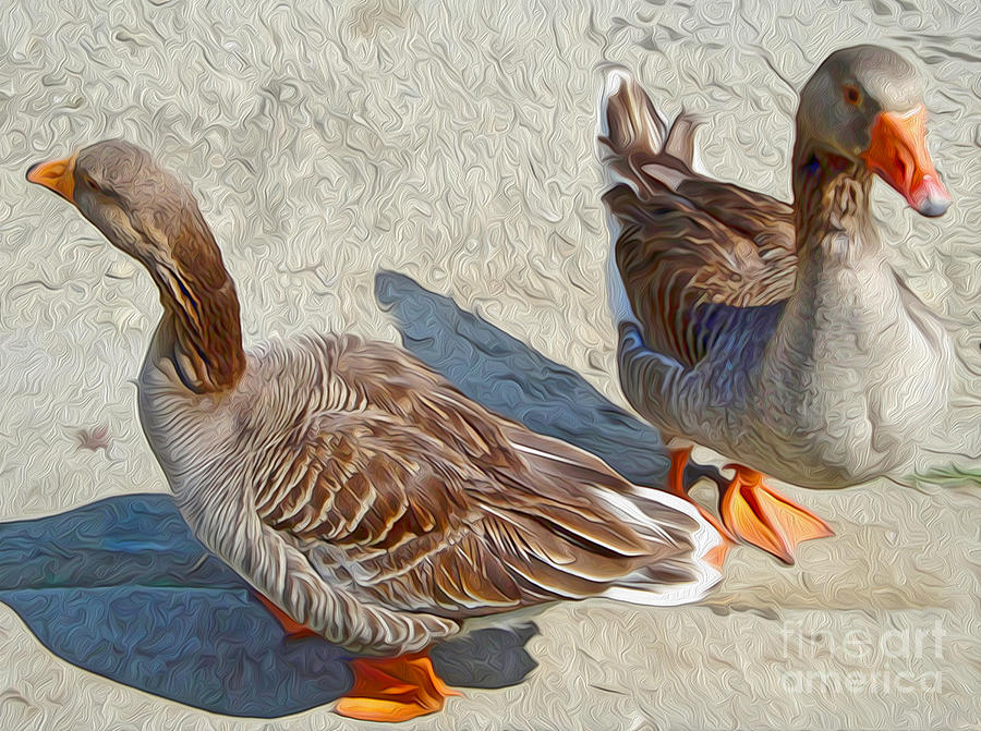 Two Ducks Painting by Gregory Dyer | Fine Art America