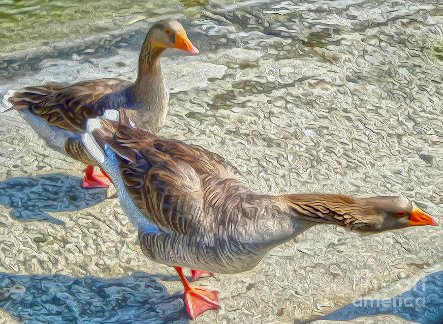 Two More Ducks Painting by Gregory Dyer - Fine Art America