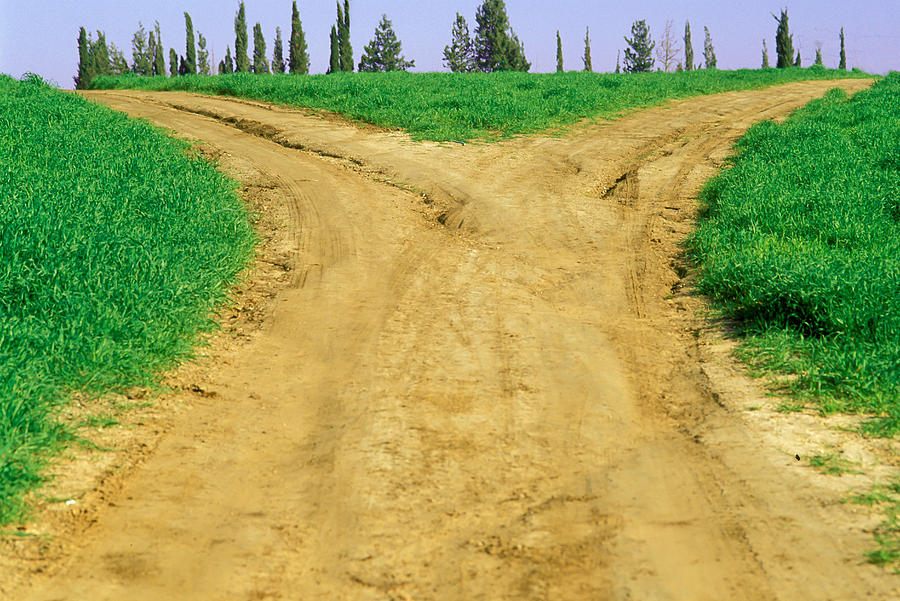 Two paths Photograph by Daniel Blatt - Fine Art America