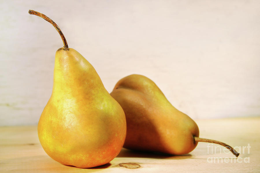 Two pears Photograph by Sandra Cunningham - Fine Art America