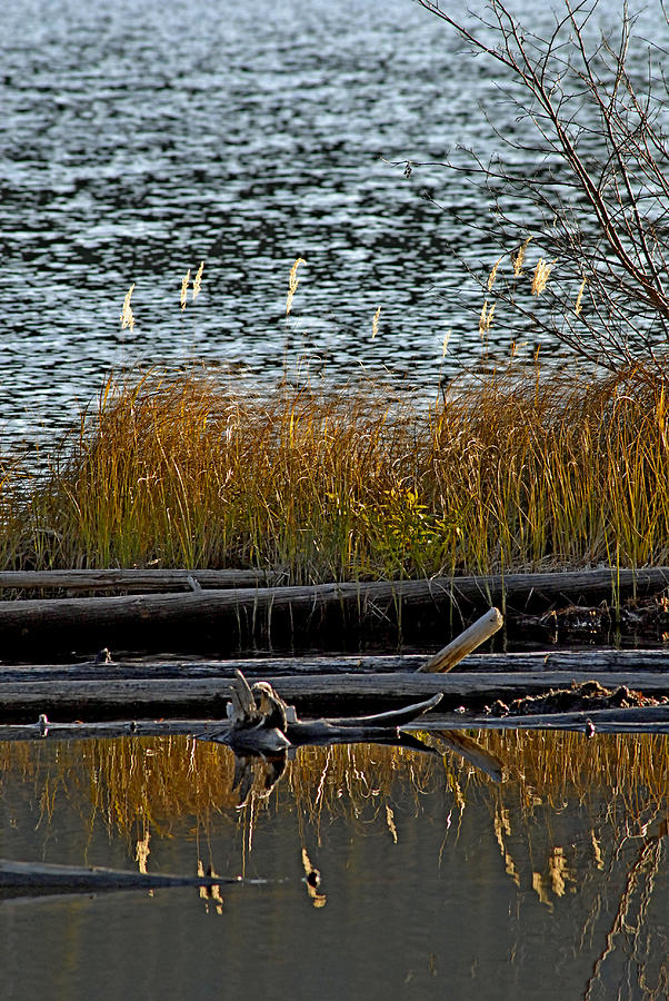 Two Sides Photograph by Rob Dewar - Fine Art America