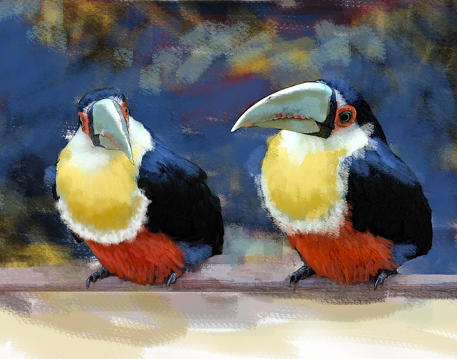 Two Toucans Photograph by Alice Greko