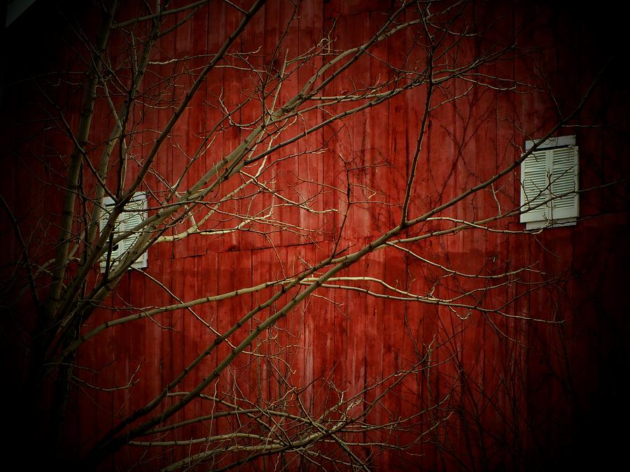 Two Windows Photograph by Michael L Kimble - Fine Art America