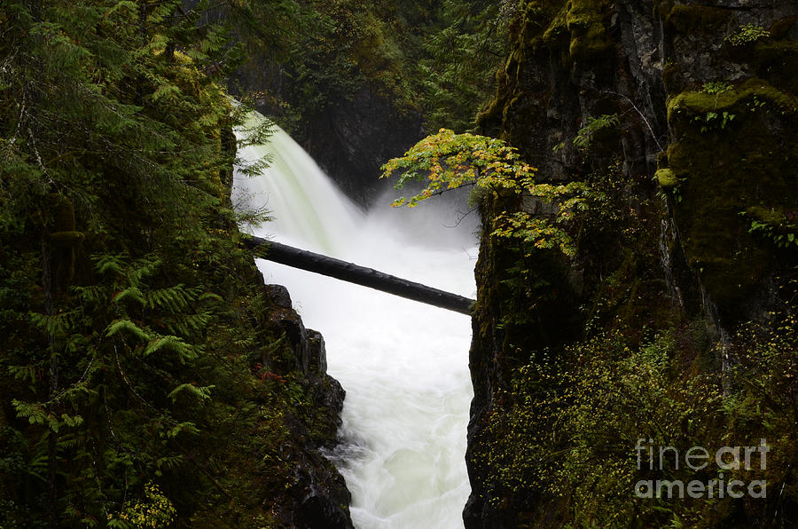 Upper Qualicum Falls Photograph by Bob Christopher | Fine Art America