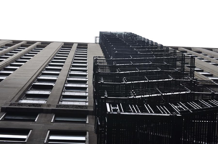 Vertical Escape Photograph by Mark Daggett - Fine Art America