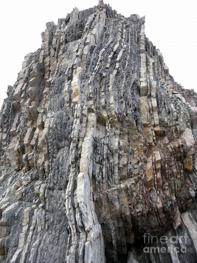 Vertical Sedimentary Strata Photograph by Ted Kinsman - Pixels