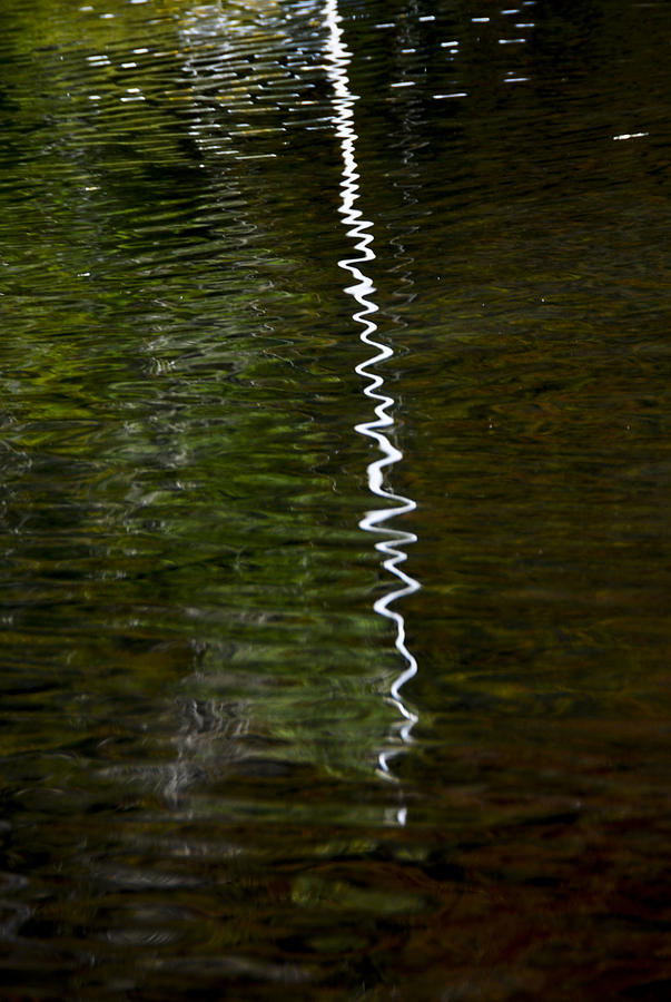 Vibrations Photograph by Dan Gazit - Fine Art America