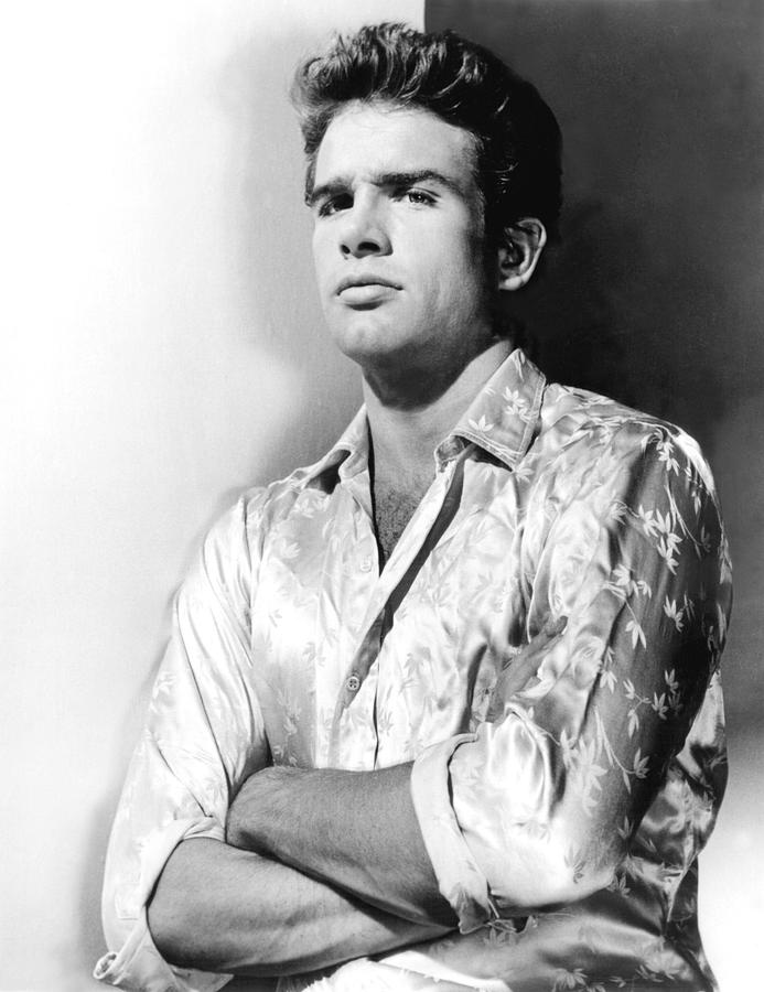 Warren Beatty, 1962 Photograph by Everett | Pixels