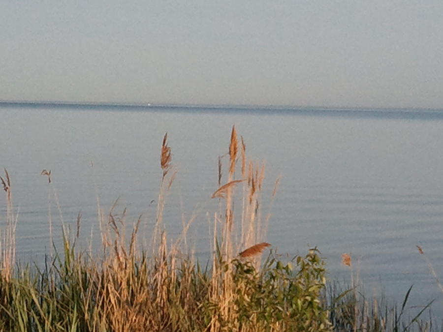 Waterside Photograph by Chrissy Harmon - Fine Art America
