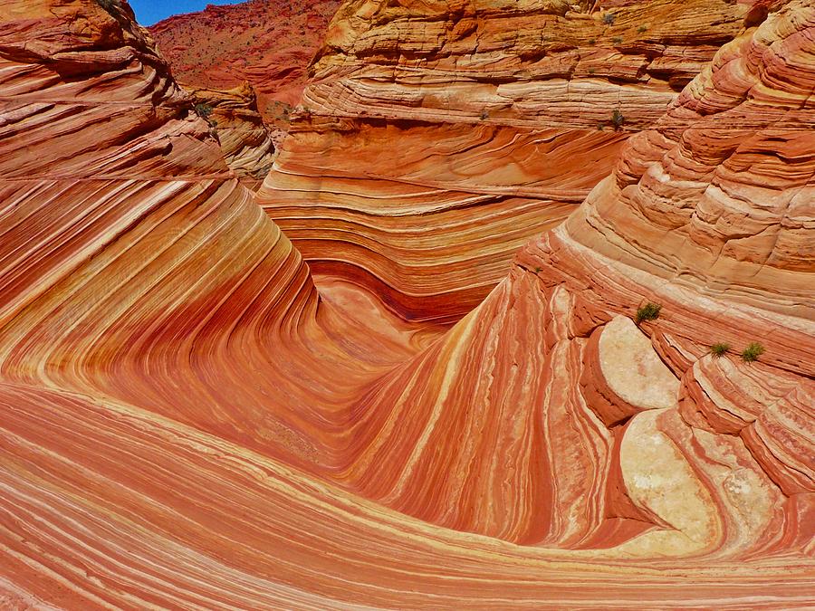 Wave Photograph by David Rich - Fine Art America