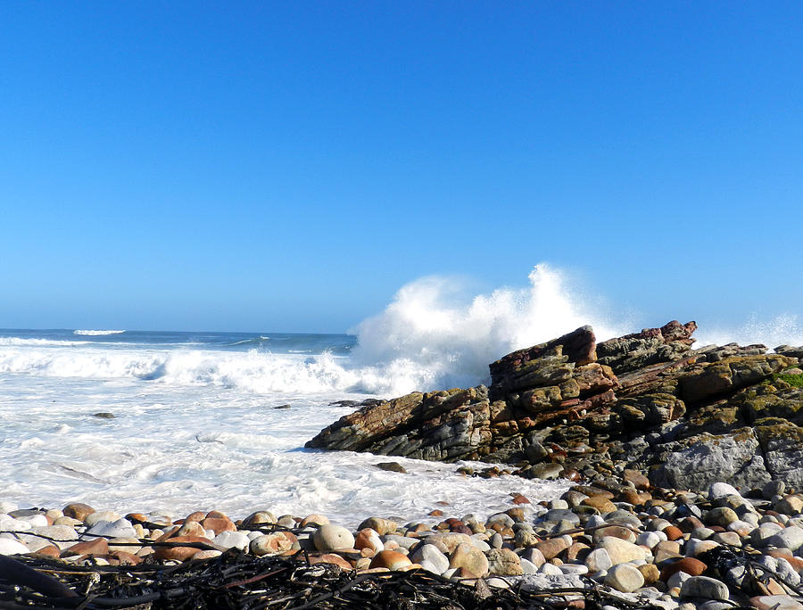 Wave Splash Photograph by Mark Lashmar - Fine Art America
