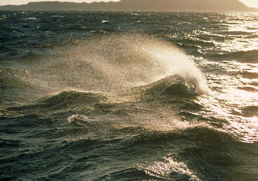 Waves Photograph by Peter Scoones - Fine Art America