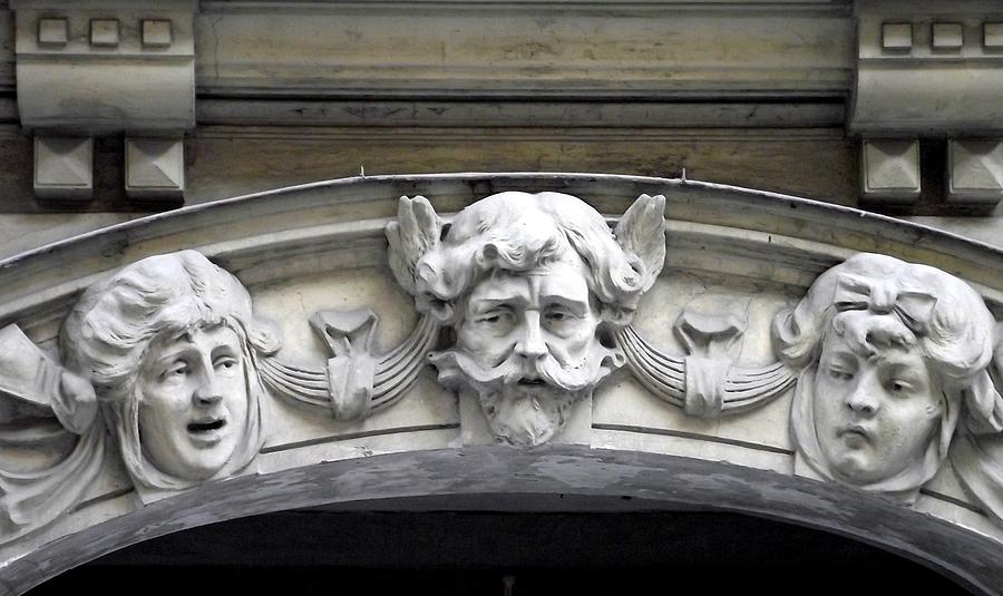 WE E Three.... Photograph by Paula Adams - Fine Art America