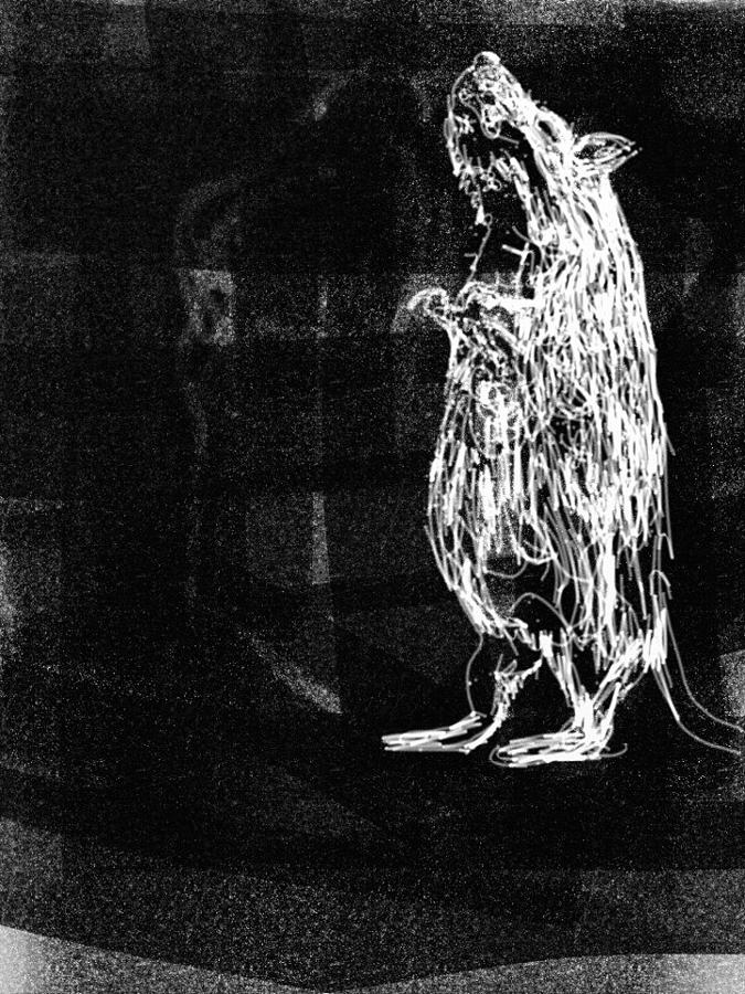 Weird Science Photograph by David Corzine - Fine Art America