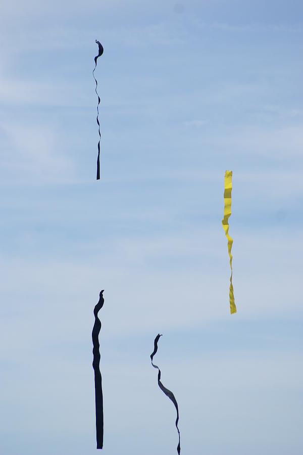 Long Wind Streamers