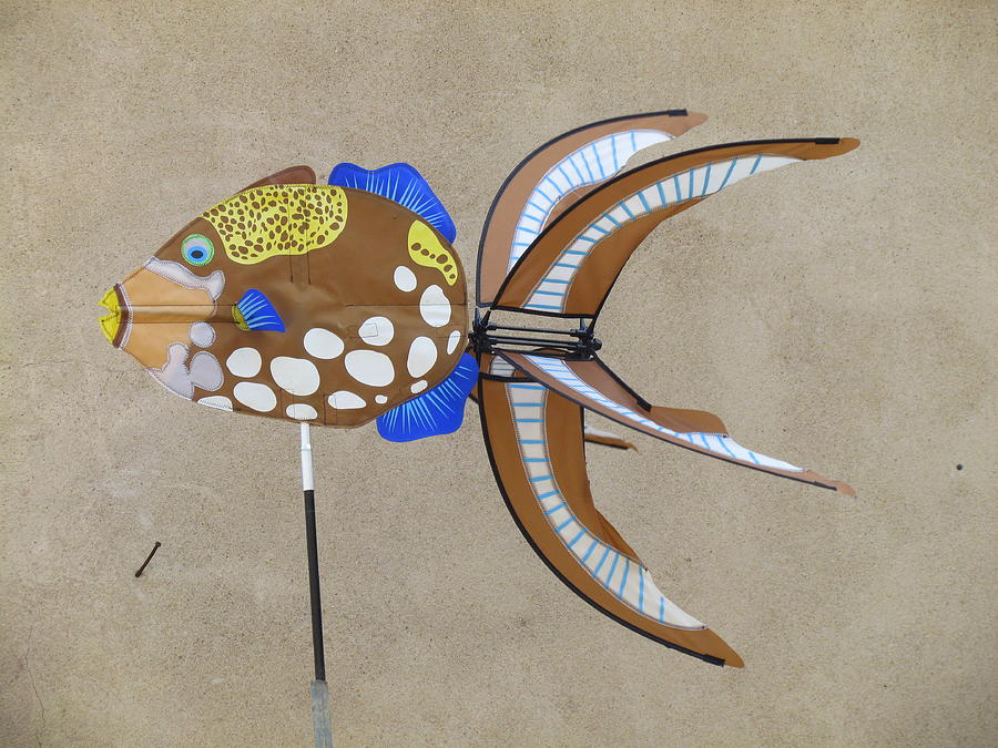 Wind Vane Photograph by David Rich - Fine Art America